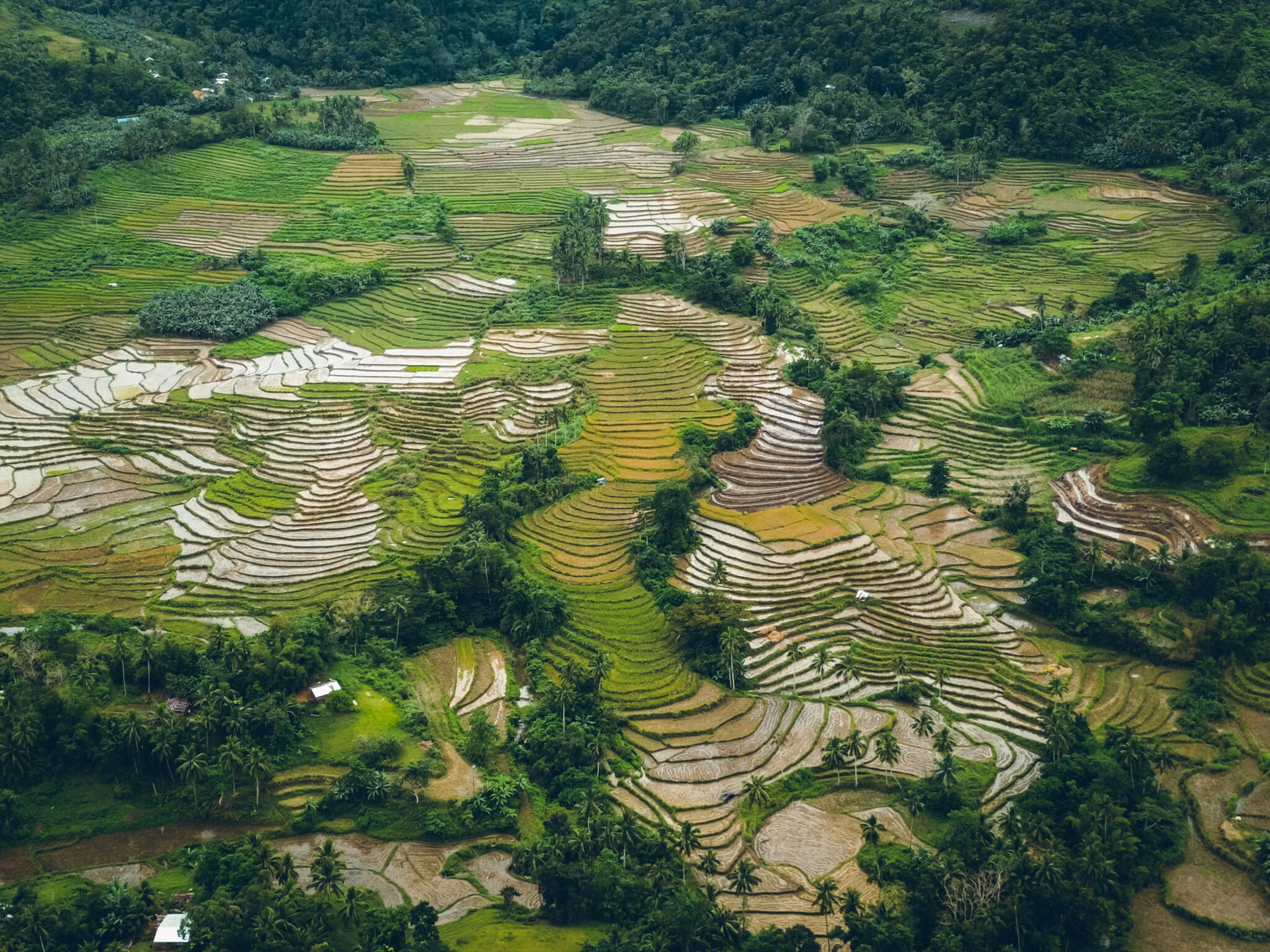 Les incontournables de Bohol aux Philippines - Explorer la Terre